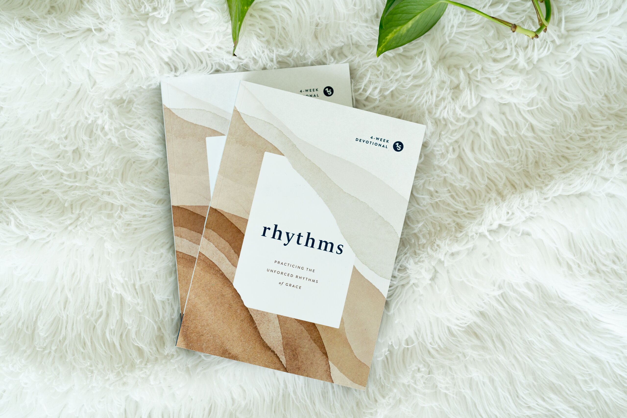 Rhythms: Practicing the Unforced Rhythms of Grace - Christian Parenting